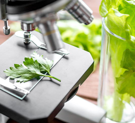 ABOUT US – Medics - Wellness Naturally